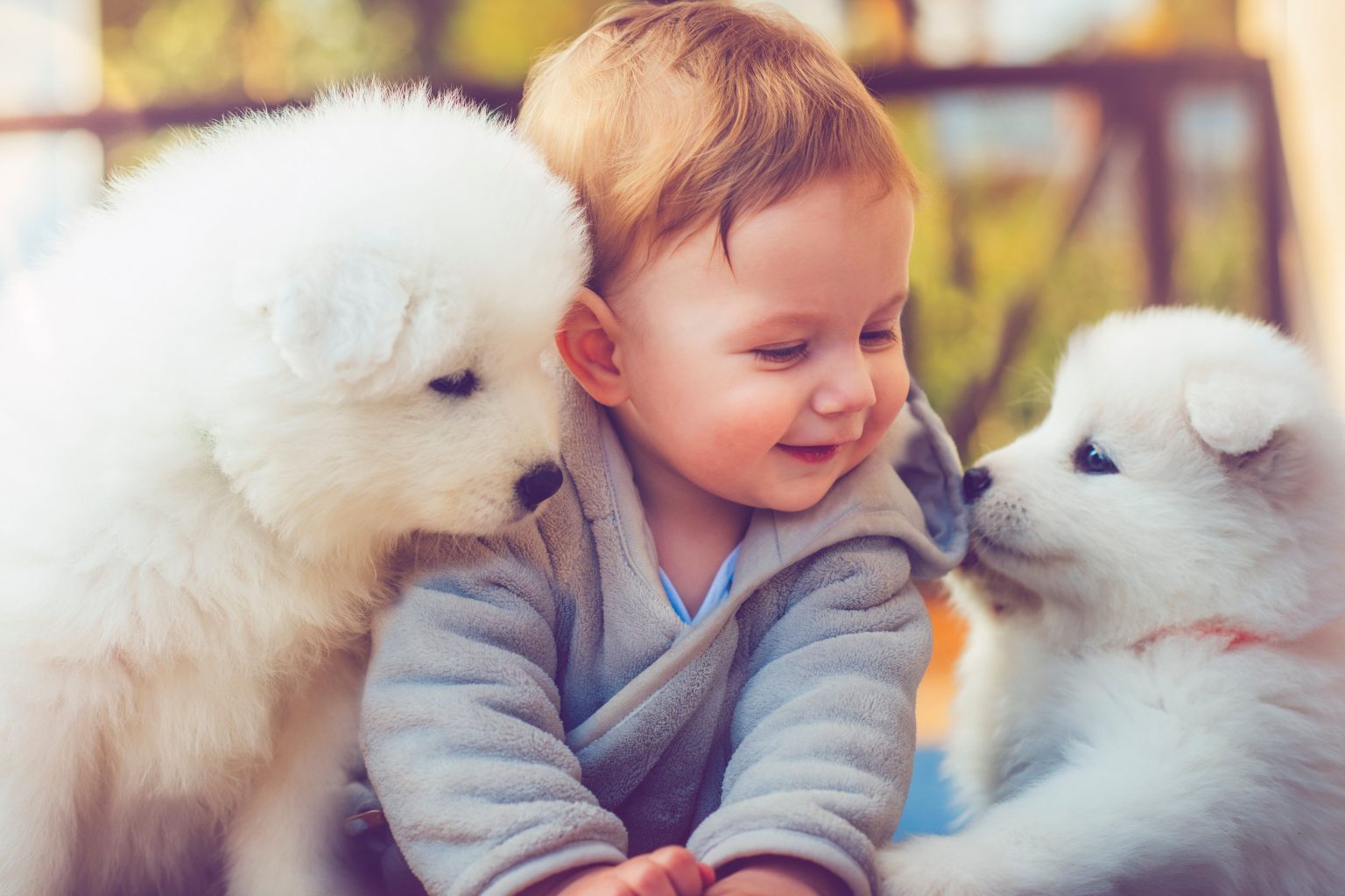 The Psychology Behind Why You Want To Squeeze Adorable Babies And ...